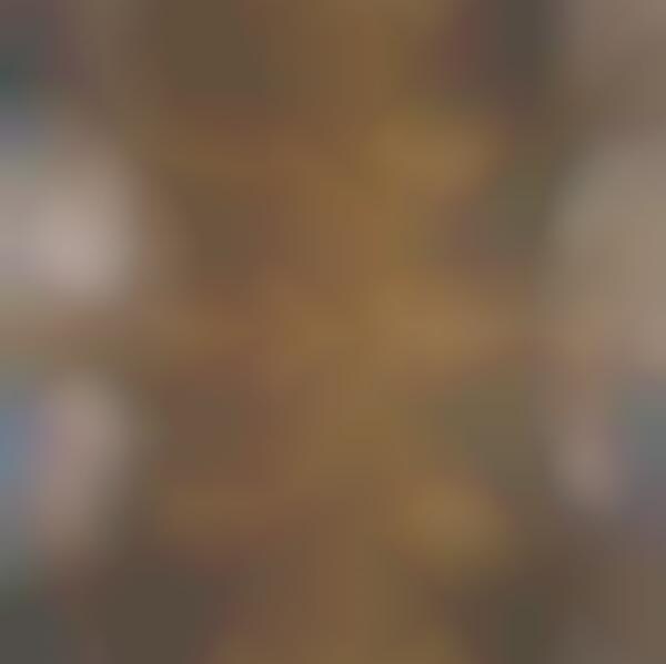 Ceiling-Focused Photography : david stephenson vaults