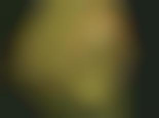 19 Unusual USB Appliances