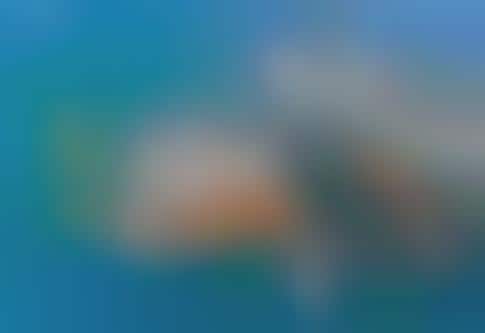 Wave Powered Boat: Suntory Mermaid II To Cruise From Hawaii To Japan