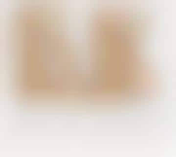 50 Breathtaking Tree Innovations