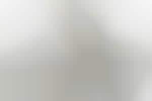 Intimate Art: The Bra Elevated to Art