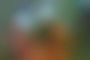 Life-Size Fairy: Fantasy Statue