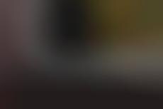 $176,400 iPhone: Peter Aloisson Princess Plus