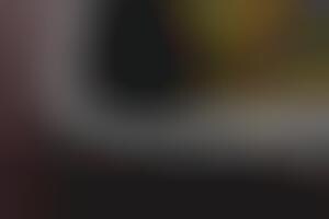 $176,400 iPhone: Peter Aloisson Princess Plus