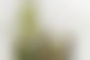 Bottle-Made Wine Tables : dvinus