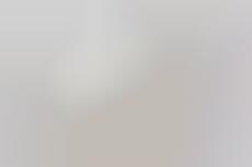 Yuhang Parchment Creations : piao collection