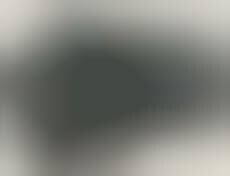 Prickly Plant Seating : Canape Cactus Couch