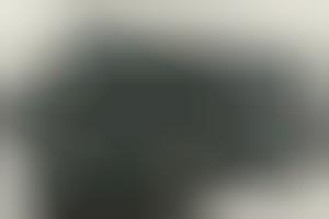 Prickly Plant Seating : Canape Cactus Couch