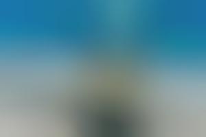 Raygun-Toting Killer Fish : sharks with lasers