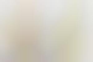 $50K Sea-Inspired Clutches : Chanel Shell Minaudiere