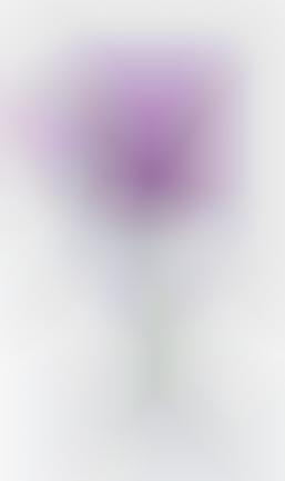 Fleecy Flower Vessels: The Maya Dekel ‘Home Jewelries’ Vases Use Wool ...