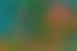 Slimy Psychedelic Paintings : Charlie Immer