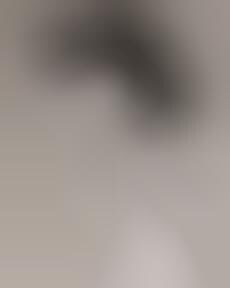 Dapper Androgynous Photoshoots : fallen magazine spring 2012