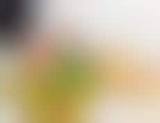 Food USB Hubs : usb hub chicken burger