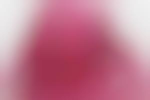 Stylish Camera Totes : the epiphanie bags by maile wilson