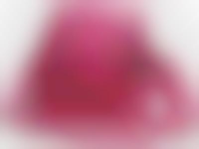 Stylish Camera Totes : the epiphanie bags by maile wilson