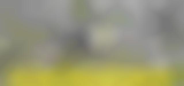 58 Beautifully Extravagant Bridges