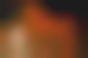 Newborn Mermaid Exhibits : Daniel Kyong