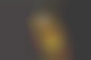 $1,000 Ice Cream Treats : the opulence sundae