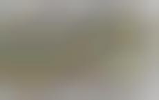 Porky Breakfast Pastes (UPDATE) : squeez bacon