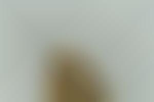 Alternative Artisan Snow Globes : camryn forest designs steampunk snowglobe