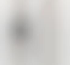 Blooming Spirit Branding : dan hinde