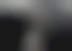 Gaming GPS Handhelds : toyota nintendo ds navigation system