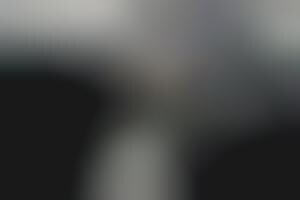 Gaming GPS Handhelds : toyota nintendo ds navigation system