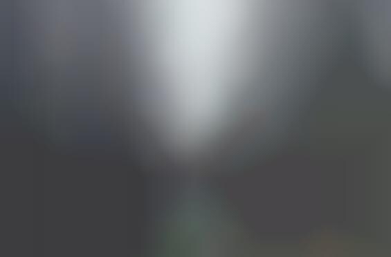 100 Self-Destructing Captures