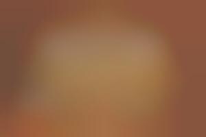 Canadian-Inspired Fast Food : maple flavored fast food burger kings ...