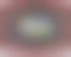 Durable Toddler Technology : vinci tab ii touch screen learning tablet