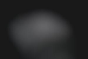 Heat-Packing Strongboxes : gunvault gvb1000 gun safe