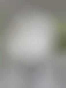 Modern Farmhouse Reconstructions : casa rizza