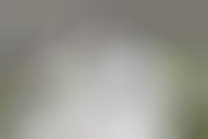 Modern Farmhouse Reconstructions : casa rizza