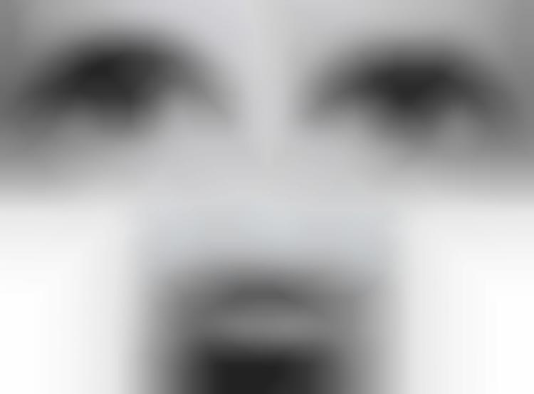 100 Exaggerated Facial Feature Renderings