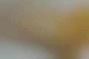 Carbon-Neutral Chocolate Bars : gru grococo