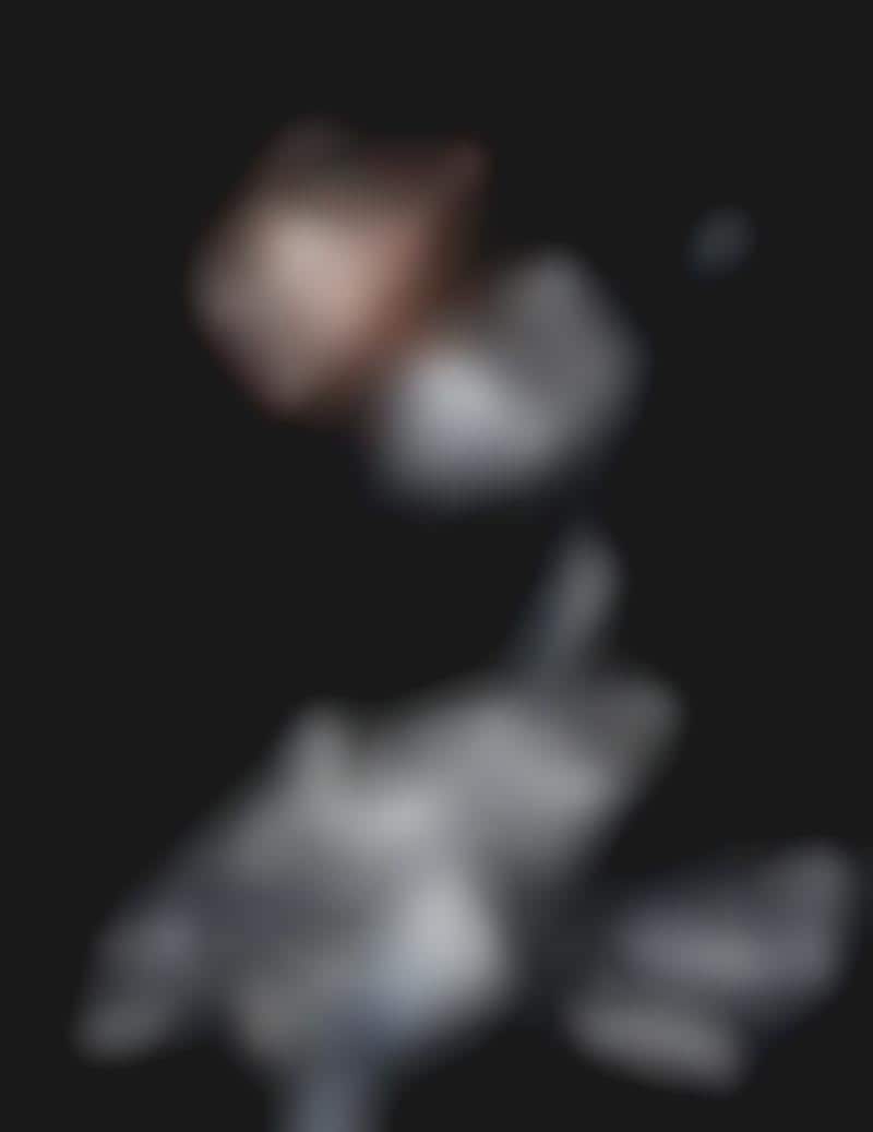 53 Distorted Depictions