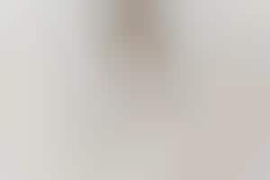 Facial Extension Editorials : animal the evolution by ana rajcevic