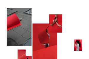 Red Paper Portraits : Filled Field