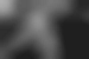 Floral Ladylike Photoshoots : full bloom