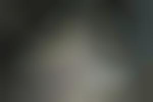 Background Disaster Photoshoots : bayh and steff rosenberger ochs