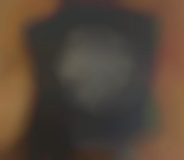 Profane Playbook Pads : btches imma holla at notebooks