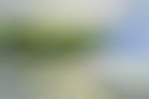 High-Tech Greenery Offices : microsoft vienna headquarters by innocad ...