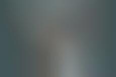 Sad Puppy-Eyed Ads : Perdigao Boneless Turkey campaign