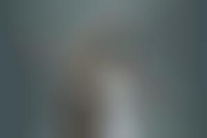 Sad Puppy-Eyed Ads : Perdigao Boneless Turkey campaign