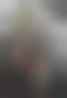 Arctic Dreamscape Pictorials : ziska harpa einarsdottir