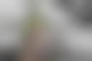 Arctic Dreamscape Pictorials : ziska harpa einarsdottir