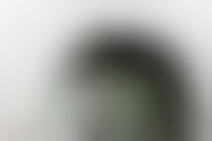 Warped Watercolor Portraits : Justin Lee Williams