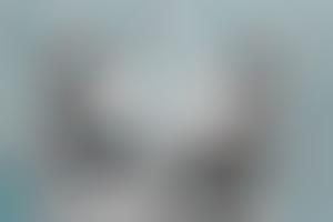 Random Object Portrait Collages : jenya vyguzov