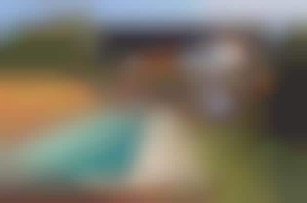 30 Open-Concept Abodes